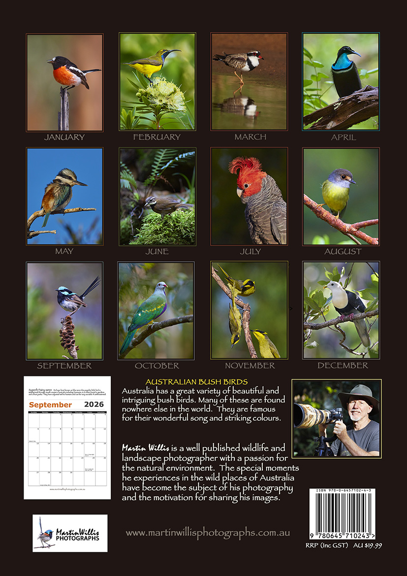 Buy Australian Birds & Parrots Calendars Online - Martin Willis Photographs