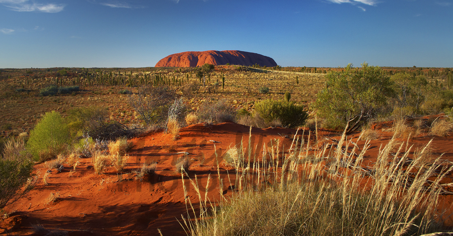 Buy Uluru, NT Image Online - Print & Canvas Photos - Martin Willis ...