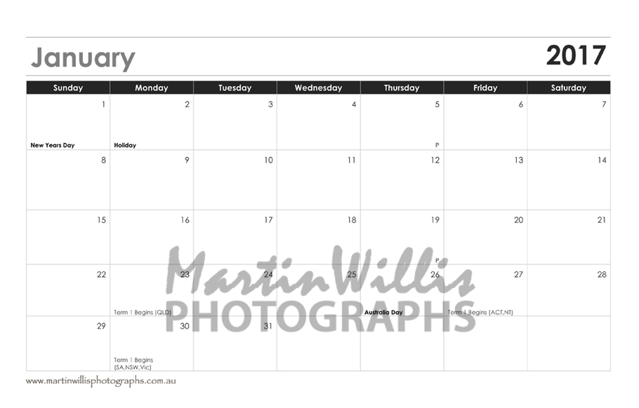 Buy Australian Birds & Parrots Calendars Online - Martin Willis Photographs