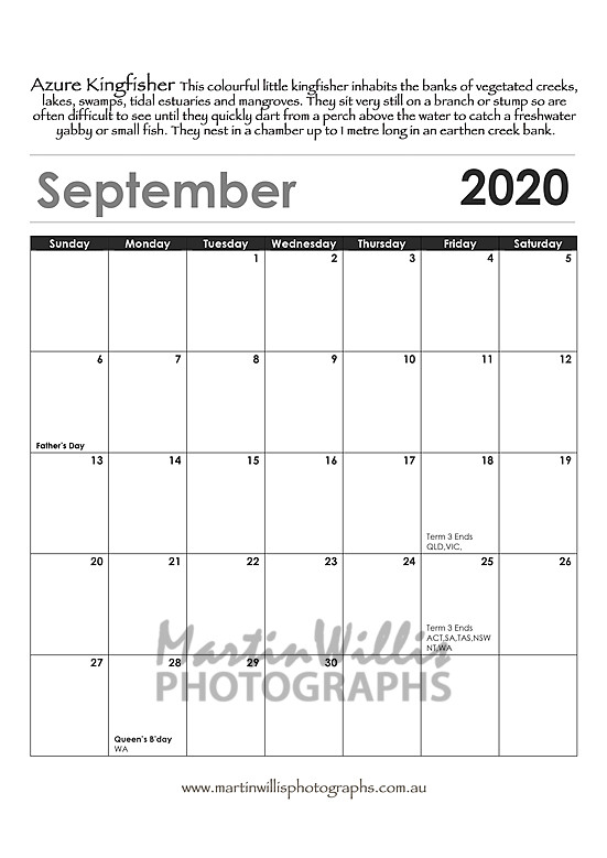 Buy Australian Birds & Parrots Calendars Online - Martin Willis Photographs