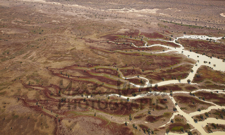 Buy 'Gibber Life' Image Online - Print & Canvas Photos - Martin Willis ...