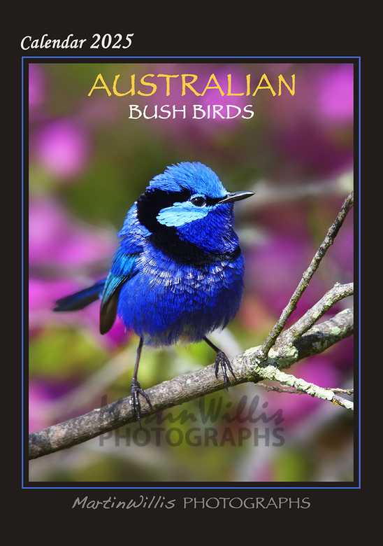 Buy Australian Birds & Parrots Calendars Online - Martin Willis Photographs